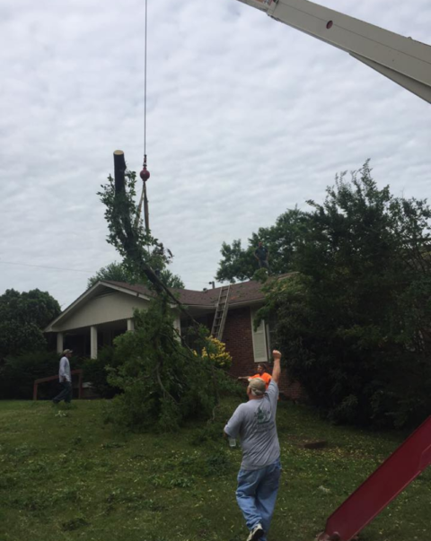 Pentecost Tree Service in Nashville TN